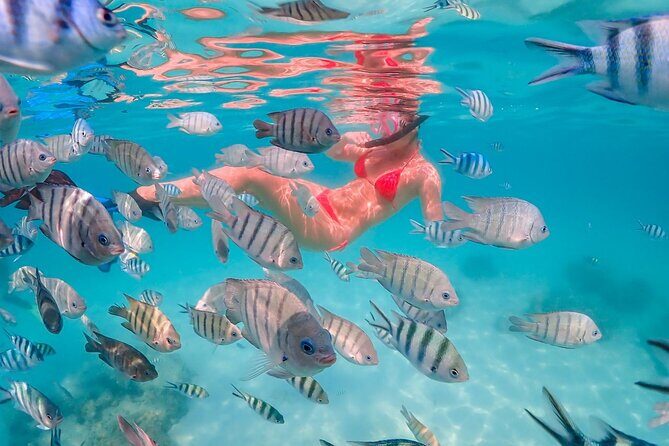 Nemo Island Full Day Tour by Speedboat with Snorkeling Experience - Final Thoughts