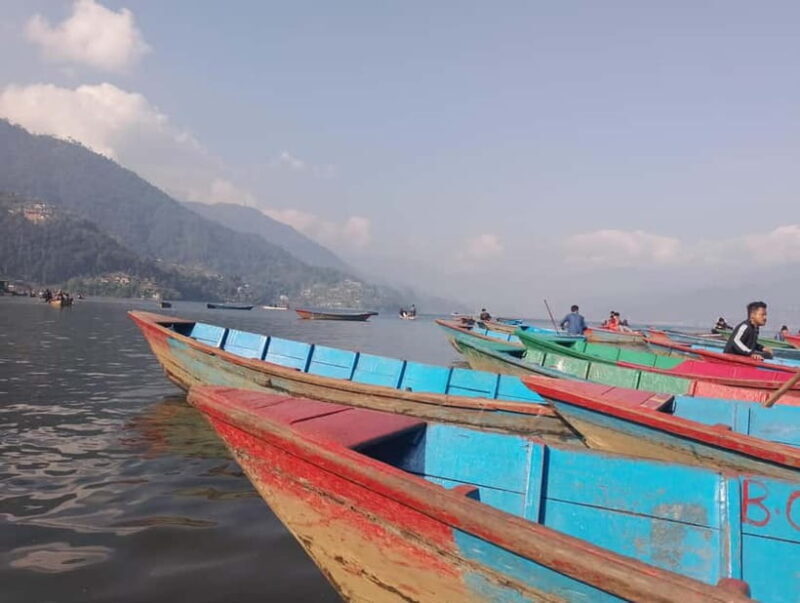 Nepal: 8-Day Honeymoon Tour of Nepal with Chitwan & Pokhara - The Journey to Chitwan: Jungle Safari and Cultural Encounters