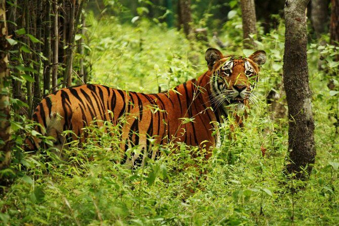 Nepal at a Glance Luxury -11 Days - Exploring the Kathmandu Valley & Heritage Sites