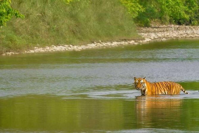 Nepal at a Glance Luxury -11 Days - Bandipur: Cultural Town & Scenic Hike