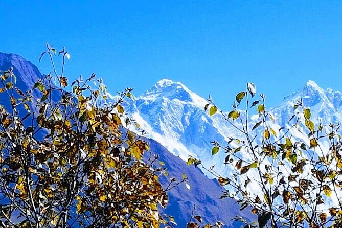 Nepal Discovery Tour: Heritage Sites & Scenic Hill Easy Hike - The Value of the Tour