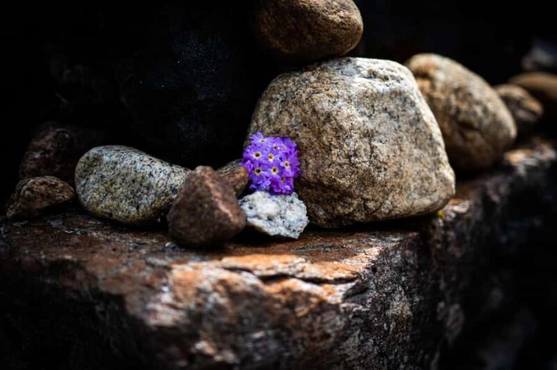 Nepal: Everest Base Camp Trek with Guide and Porter - Starting Your Journey: A Scenic Flight to Lukla