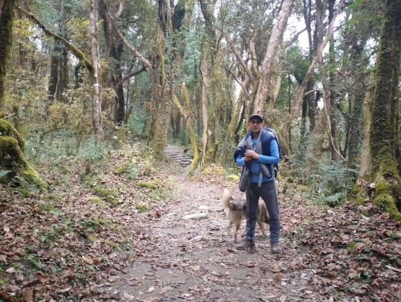 Nepal: Everest Base Camp with Kalapathar Trek - The Sum Up