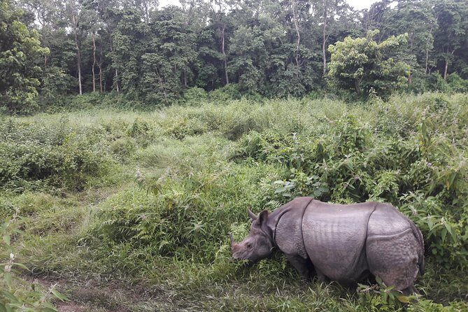 Nepal Family Fun Tour Experience - 12 Days - Who This Tour Is Best For