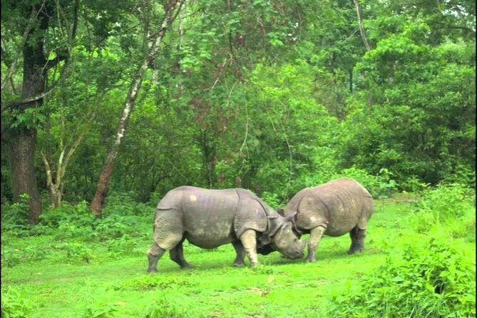 Nepal Highlights Tour - Exploring the Kathmandu Valley