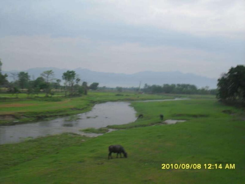 Nepal: Kathmandu and Chitwan National Park Tour - An In-Depth Look at the 7-Day Nepal Tour