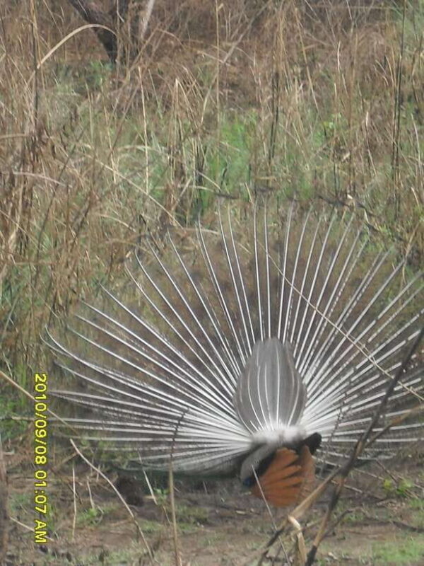 Nepal: Kathmandu and Chitwan National Park Tour - Who Will Love This Tour?