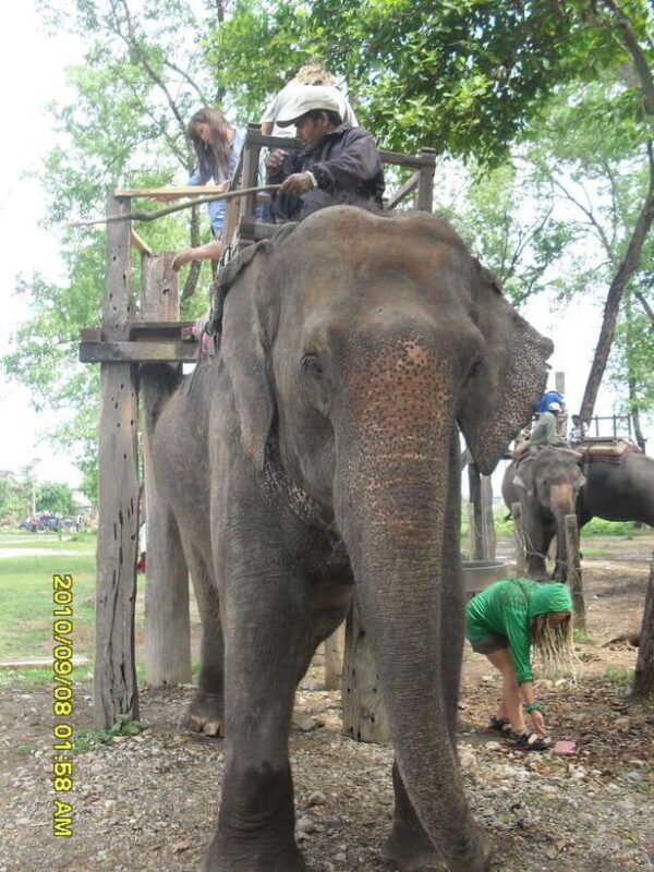 Nepal: Kathmandu and Chitwan National Park Tour - Frequently Asked Questions (FAQs)