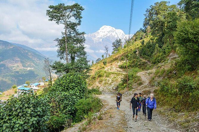 Nepal Kathmandu Trekking ( With Sightseeing ) In KTM - Trekking Experience and Support