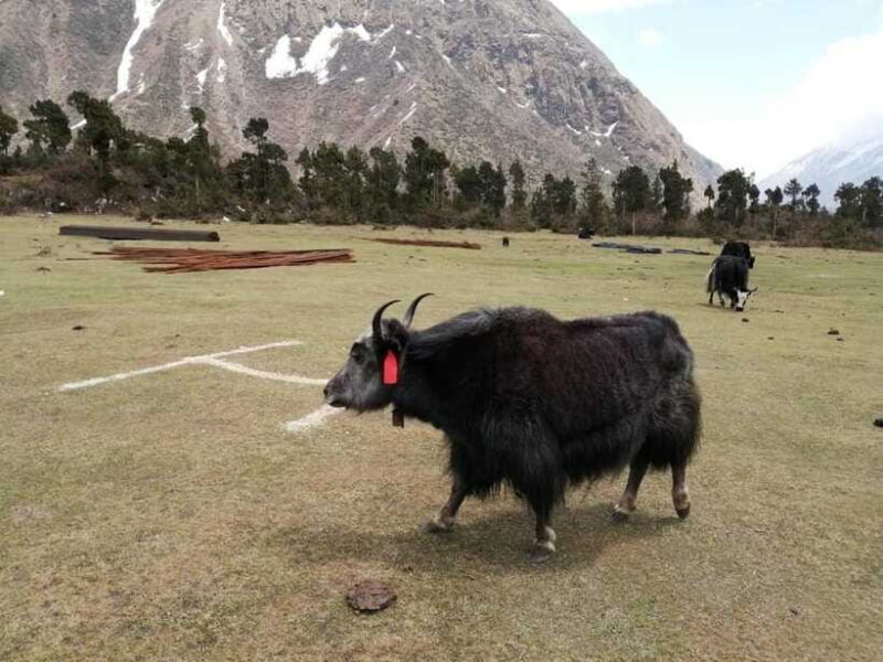 Nepal: Manaslu Circuit Trek with Larkya La Pass - Who Will Love This Trek?