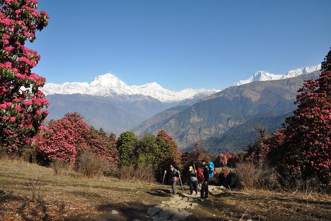 Nepal Round Tour with Annapurna Trek 14 Days - A Deeper Look: What the Tour Offers