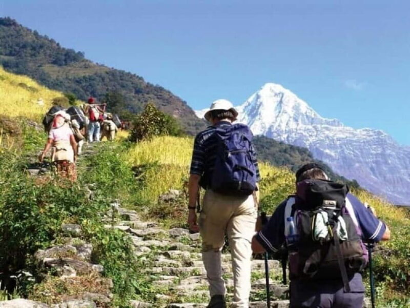 Nepal: Small Group 4-day Mardi Himal Trekking - What Makes This Trek Special?