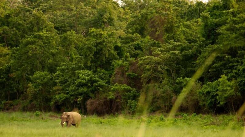 Nepal Tour: Kathmandu, Pokhara & Chitwan Park - Returning to Kathmandu: Reflecting on the Experience