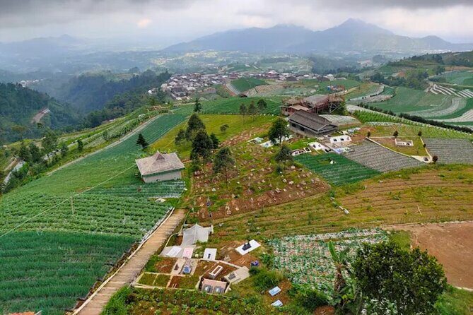 Nepal Van Java and Kedung Kayang Waterfall tour from Yogyakarta - Transportation, Group Dynamics, and Practical Details