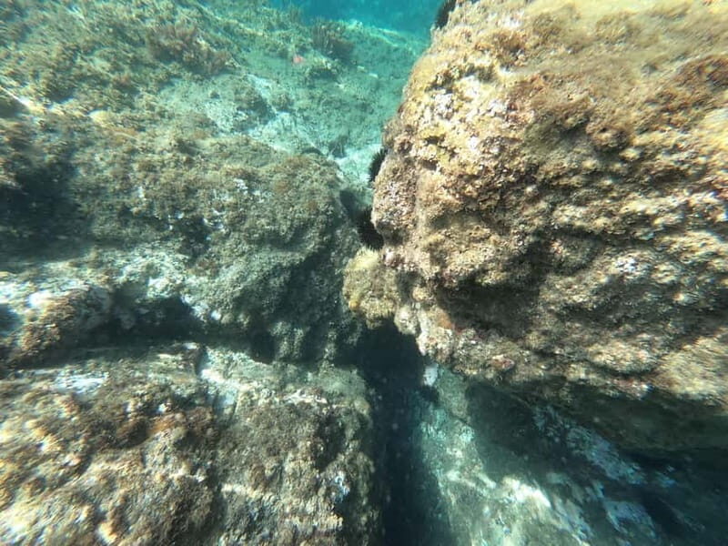Nerja: Cliffs of Maro-Cerro Gordo Paddle-SUP Rental - FAQ
