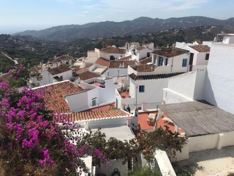 Nerja: Nerja & Frigiliana Private Day Trip from Malaga - Who Will Love This Tour?