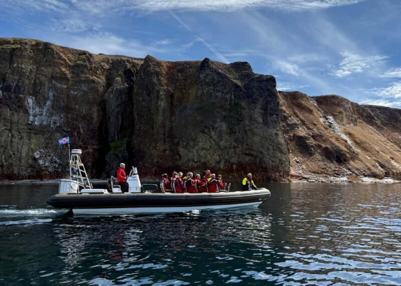 Neskaupstaður: RIB Boat Tour with Drink - What to Expect on the Tour