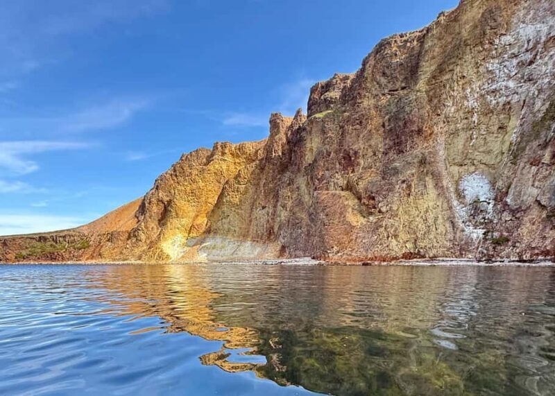 Neskaupstaður: RIB Boat Tour with Drink - Practical Details and Considerations