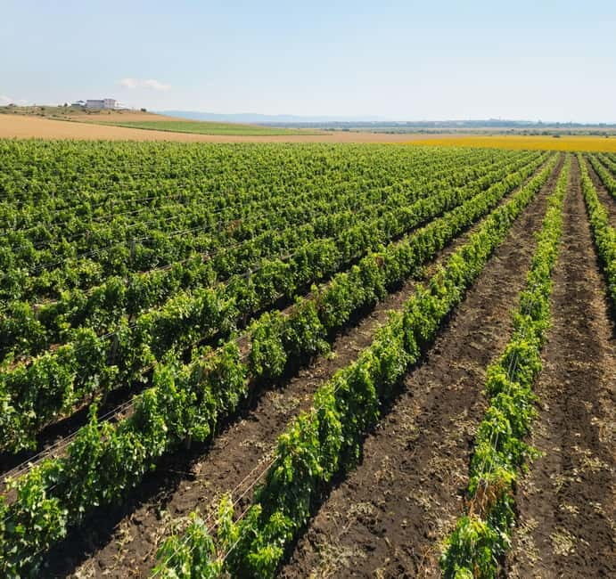 Nessebar: Guided Tour in English with Wine Tasting - The Sum Up: Who Should Consider This Tour?
