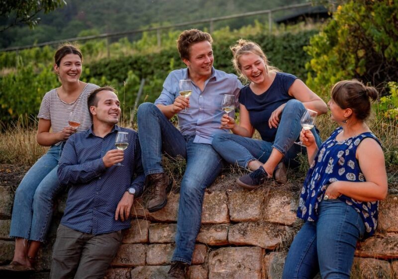 Neustadt: Wine tasting with cellar tour and vineyard tour - Discover Authentic German Wine in Neustadt: A Tasting and Vineyard Tour