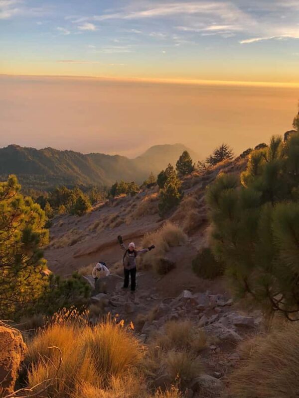 Nevado de Colima: Guided tour to the summit - Reaching the Summit