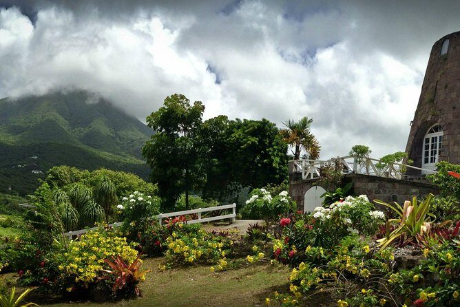 Nevis Island Half-Day Tour - What the Tour Offers: A Closer Look