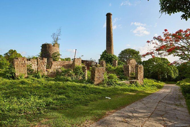 Nevis Island Half-Day Tour - FAQ