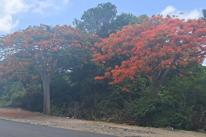 Nevis Island Historical Private Tour - The Value Proposition