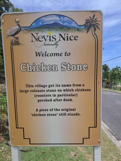 Nevis: Island Tour with Hot Springs and Historical tour - Key Points