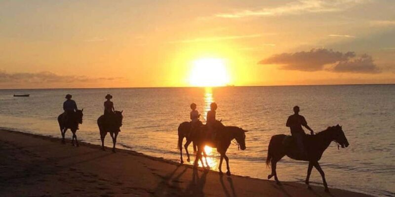 Nevis: Private Horseback Ride and Swim in the Caribbean Sea - FAQs