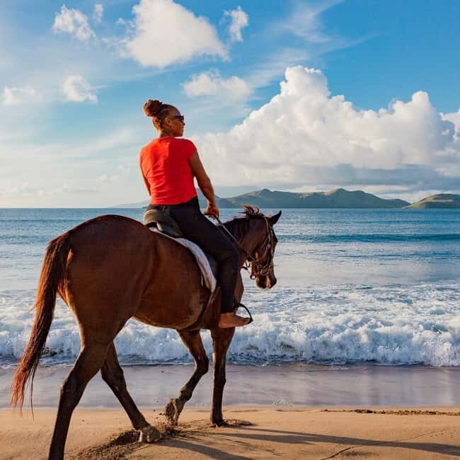 Nevis: Private Horseback Ride and Swim in the Caribbean Sea - Final The Sum Up