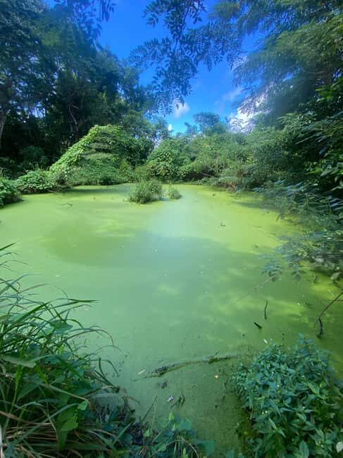 Nevis: Queen City ATV Adventure Tour - A Detailed Look at the Queen City ATV Adventure Tour