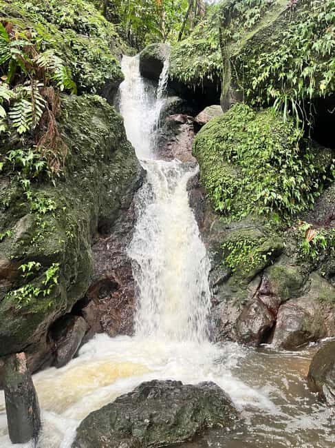 Nevis Waterfalls/Russel's Rest Hike - Who Will Love This Tour?