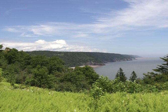 New Brunswick Shore Excursion: Bay of Fundy and More Highlights Tour - An In-Depth Look at the Tour Experience