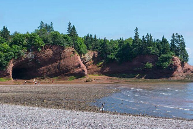 New Brunswick Shore Excursion: Bay of Fundy and More Highlights Tour - Final thoughts