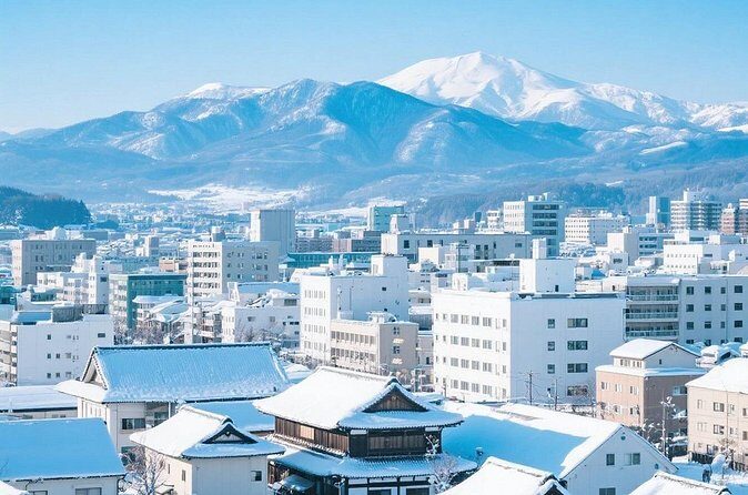 New Chitose Airport(CTS): Private Transfer to/from Niseko/Sapporo - What Travelers Say