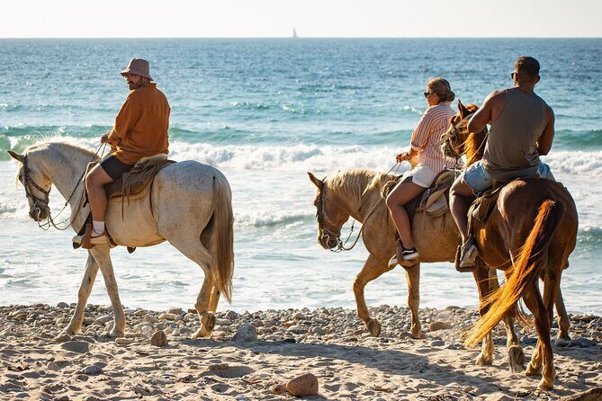NEW!! Combo ATV & Horseback Ride. Beach & Desert. Tequila Tasting - From the Scenic to the Practical: Why This Tour Works