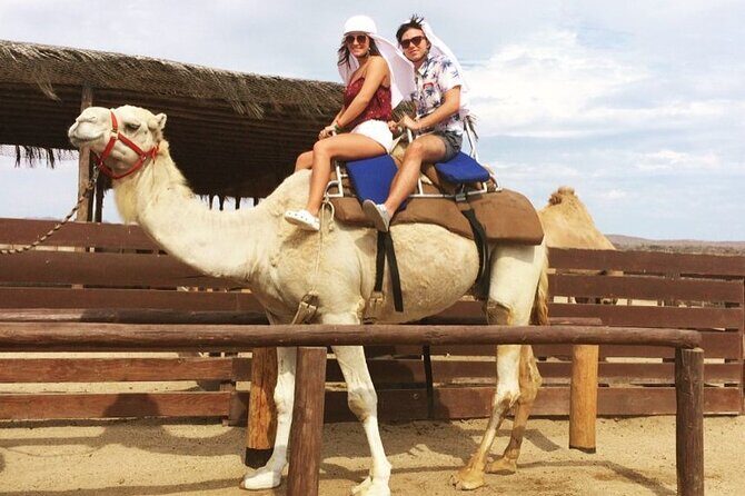 NEW! Combo Camel Beach Ride and UTV 4X4 Cabo Adventure, Tequila & - Unpacking the Combo Camel Beach Ride & UTV Adventure in Cabo San Lucas