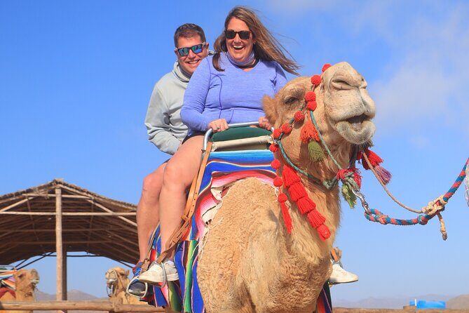 NEW! Combo Camel Beach Ride and UTV 4X4 Cabo Adventure, Tequila & - The Authentic Touch: Guides and Scenery