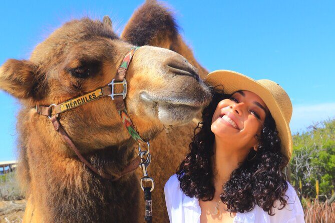NEW! Combo Camel Beach Ride and UTV 4X4 Cabo Adventure, Tequila & - Final Thoughts: Is It Worth It?