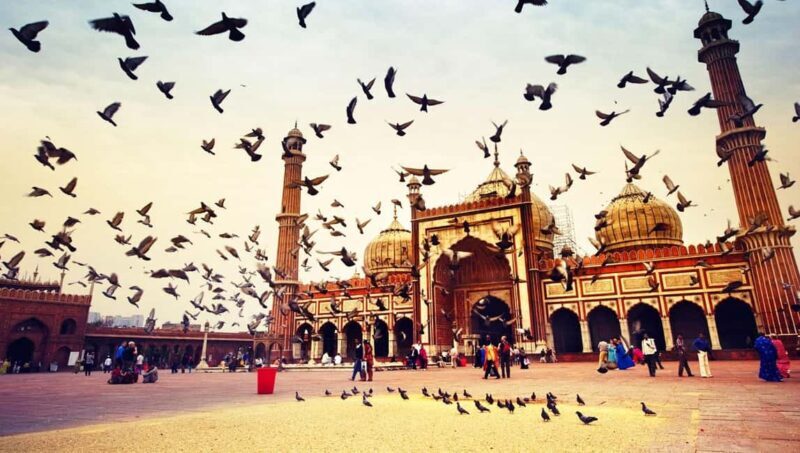 New Delhi: Akshardham Temple Tour with Water and Light Show - Discover the Akshardham Temple Tour in Delhi: A Practical and Authentic Experience