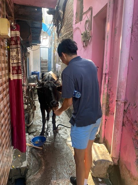New Delhi: Sanjay Colony Slum Guided Tour - What the Reviews Tell Us
