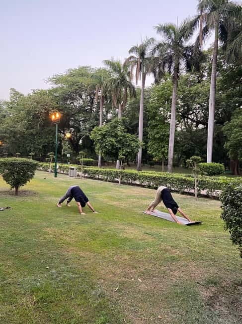 New Delhi: Soul Soothening Sun Yoga in Lodhi Gardens - Exploring the Experience: What to Expect in Detail