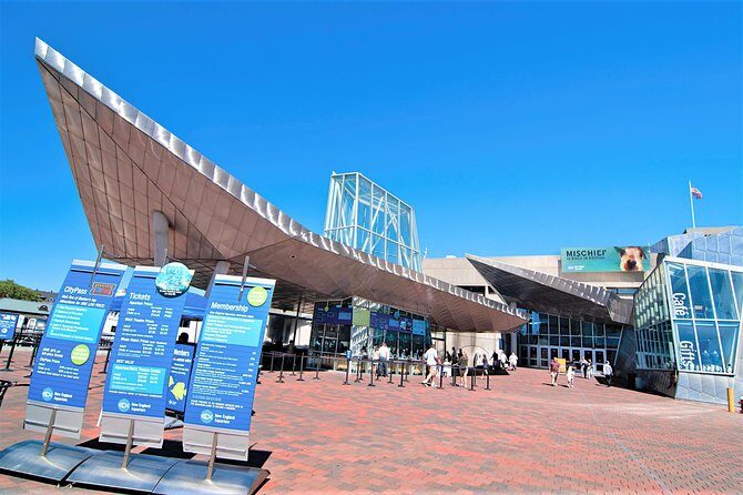 New England Aquarium Admission Ticket in Boston - A Closer Look at the Boston Aquarium Experience