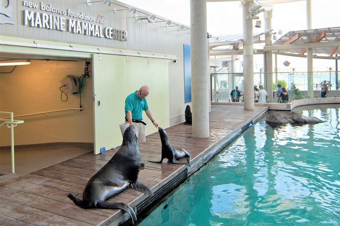 New England Aquarium Admission Ticket in Boston - The Sum Up: Who Should Consider Visiting?