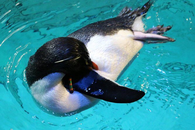 New England Aquarium Admission Ticket in Boston - FAQ