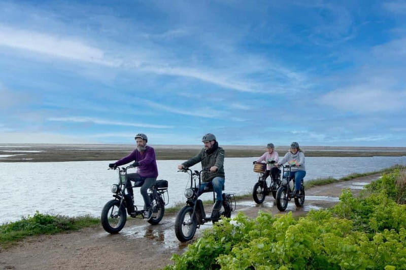 New Forest National Park: Full-Day E-Bike Rental - An Authentic Day in the New Forest on Two Wheels