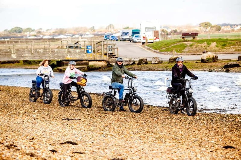 New Forest National Park: Full-Day E-Bike Rental - Who Will Love This Experience?
