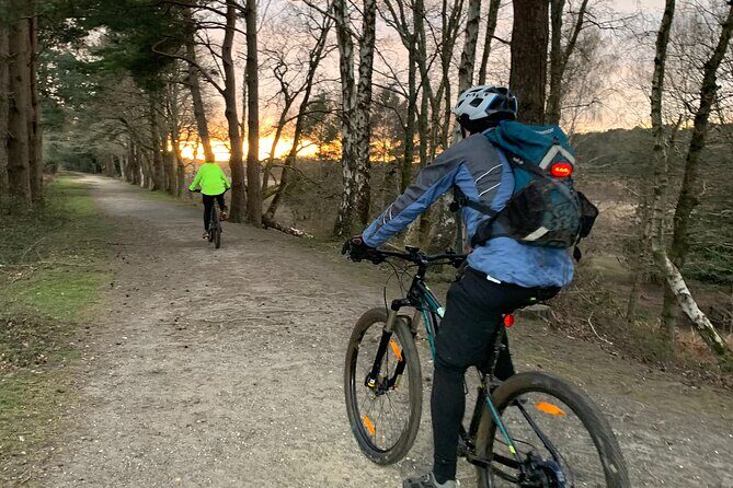 New Forest Sunset Bike Rides - A Deep Dive into the Experience