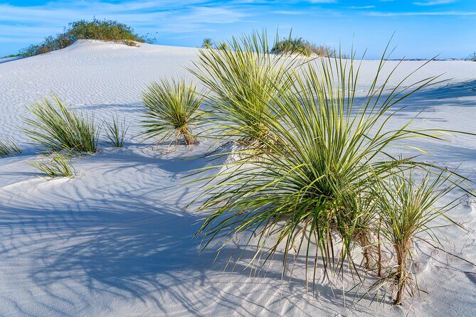 New Mexico: Carlsbad, Santa Fe & White Sands Audio Tour - White Sands National Park: A Landscape Like No Other